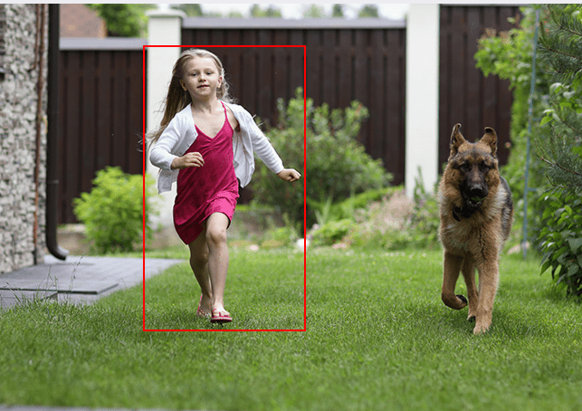 Buy Ezviz Outdoor Camera With AI-Powered Person Detection - DFS Services